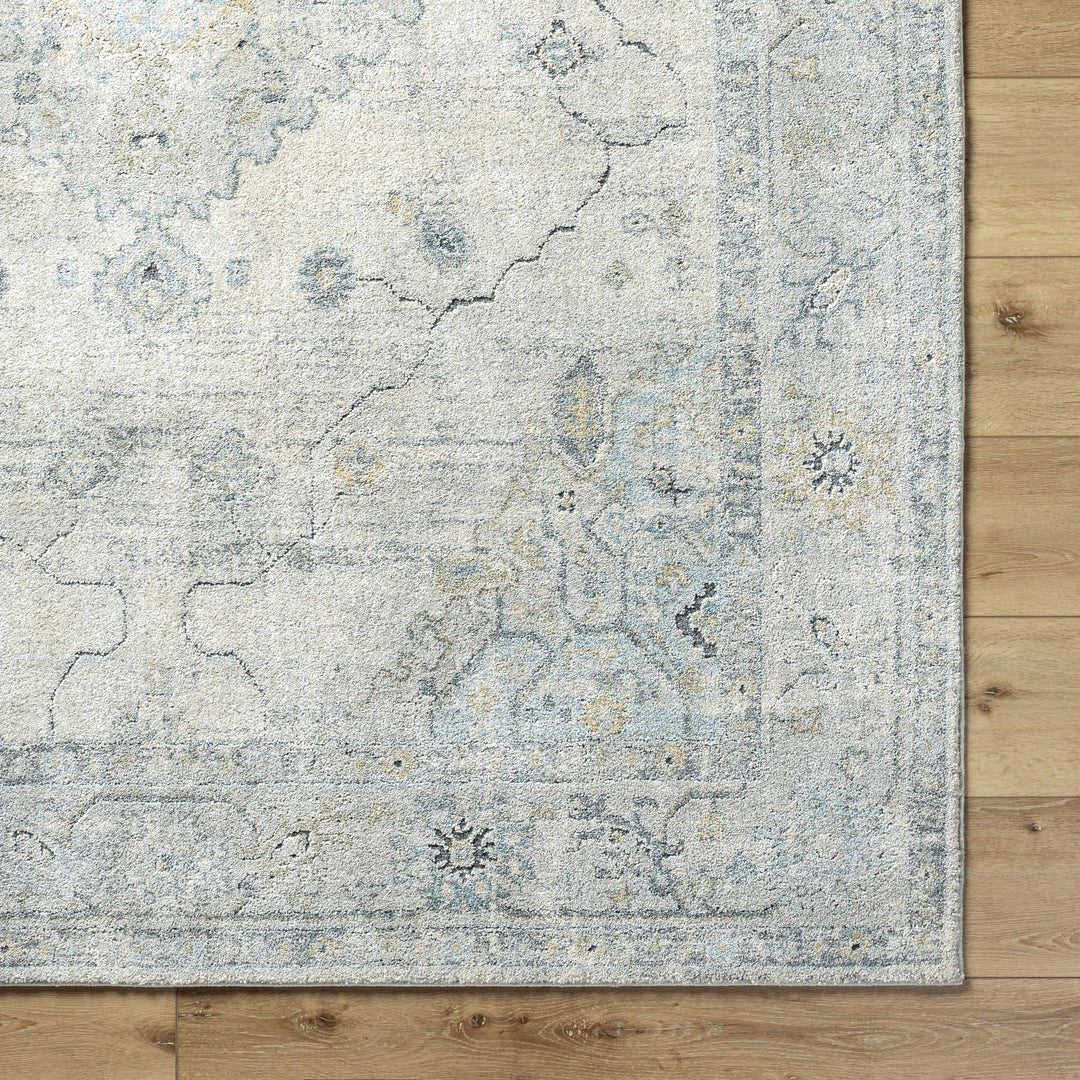 Machine Woven Traditional Style Beige And Gray Area Rug – The Rug Decor