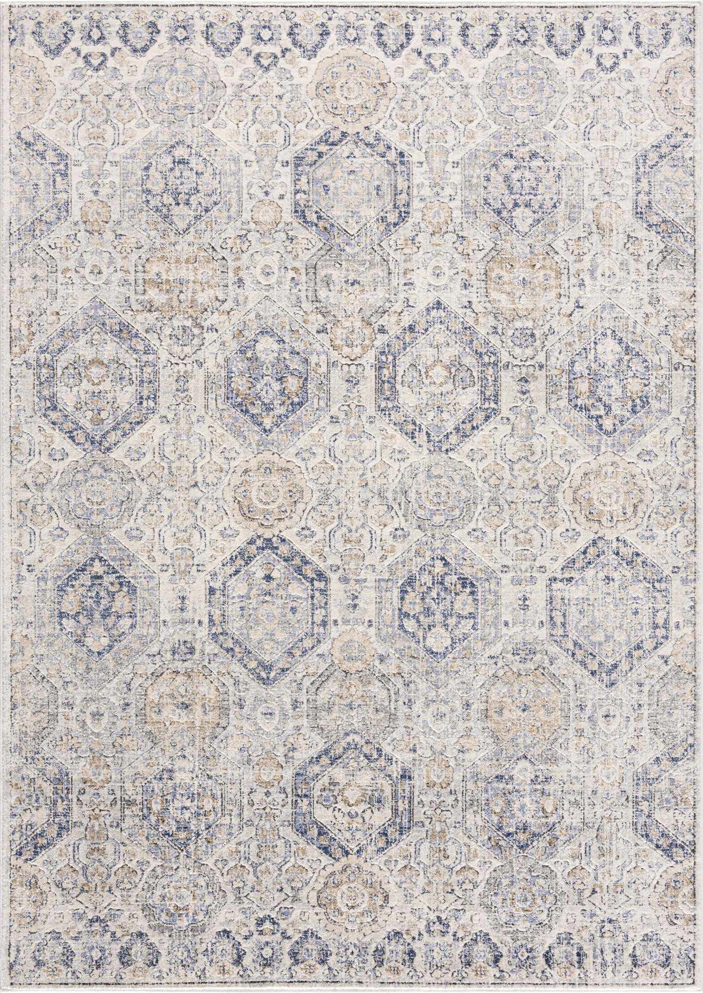 Traditional Blue and Beige Multi color Medium Pile Area Rug – The Rug Decor